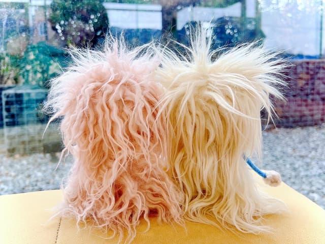 몬지몬(MonGiMon) | Inabooth